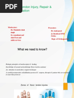 Modified Duran Protocol for Tendon Rehab | PDF | Anatomical Terms Of ...