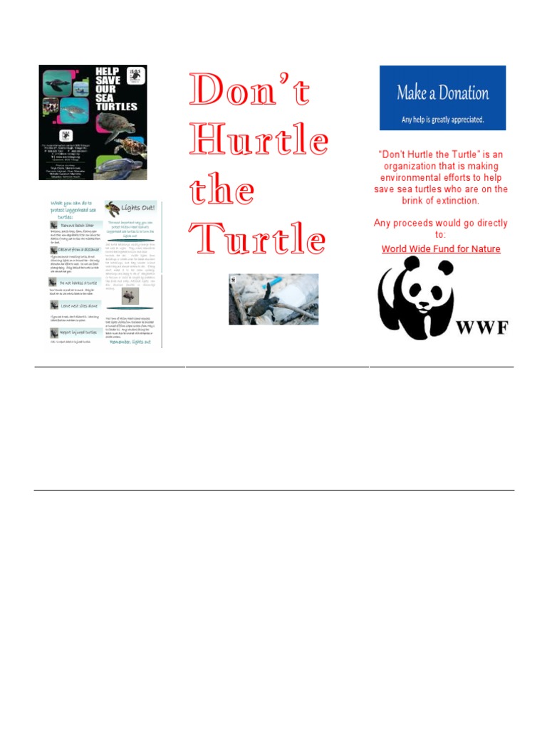 Don't Hurtle The Turtle | PDF