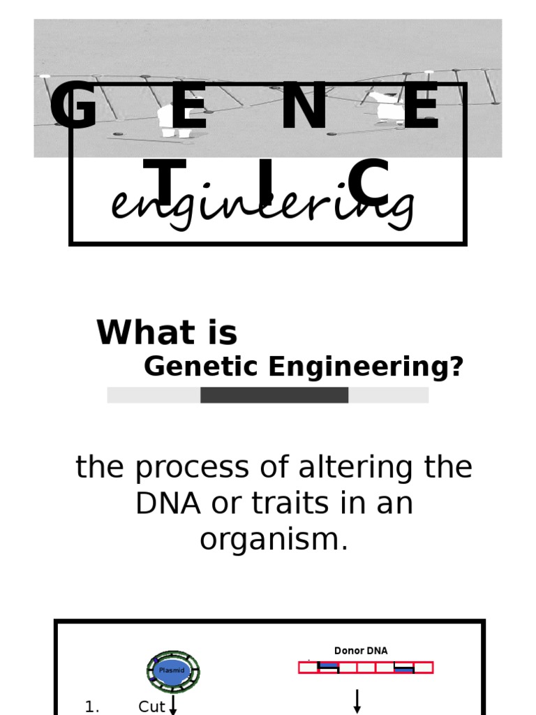 Genetic Engineering: Process and Applications | PDF | Genetic ...