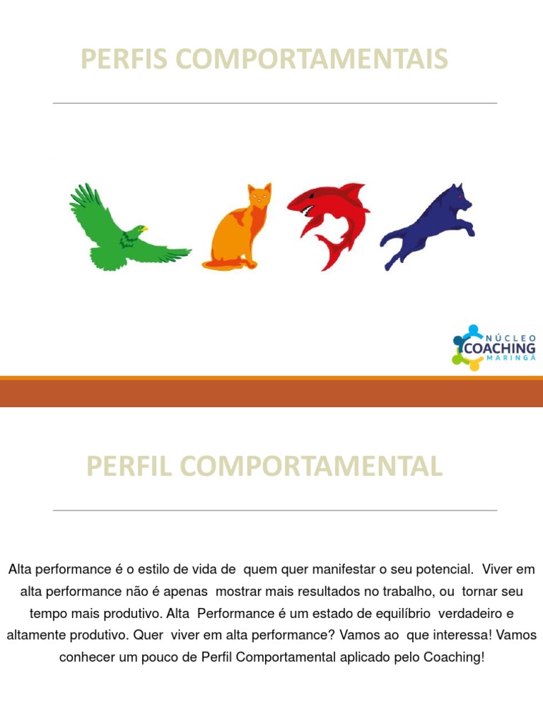 Perfis comportamentais: conhecendo os quatro principais tipos e como ...