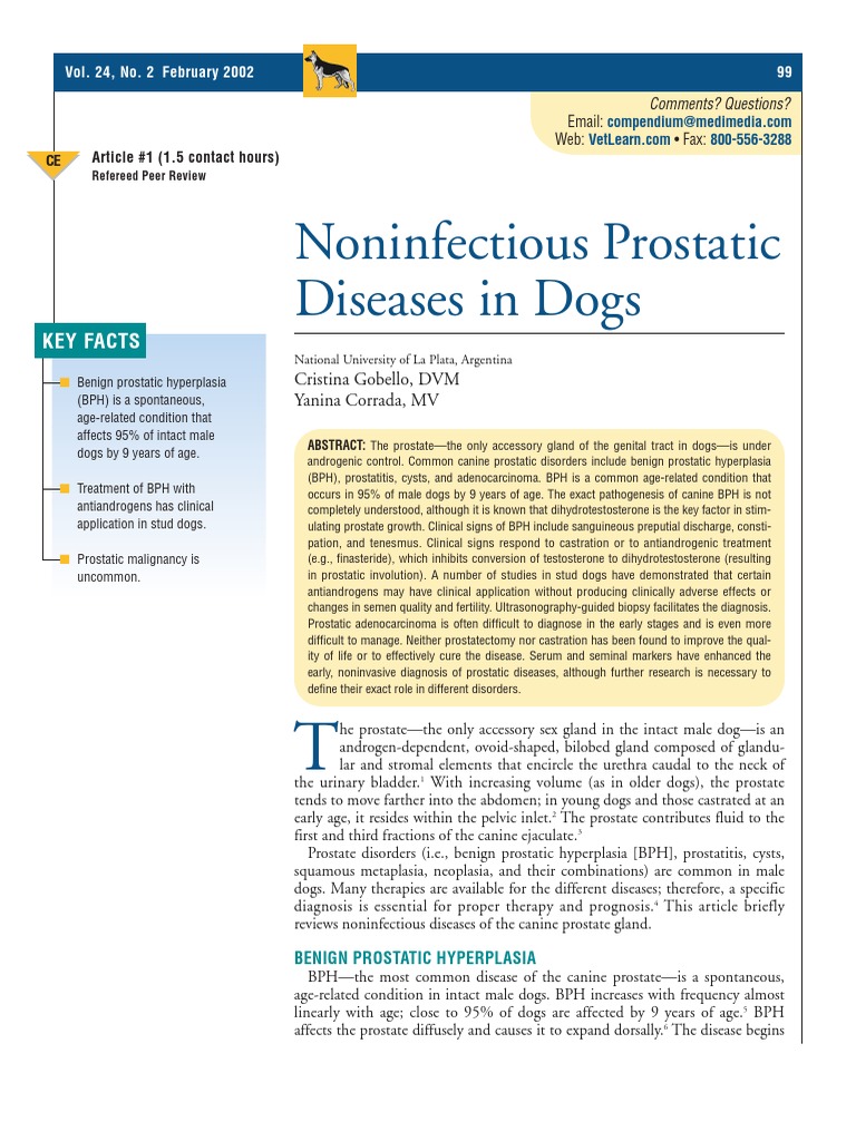 Noninfectious Prostatic Diseases in Dogs: Key Facts | PDF | Prostate ...