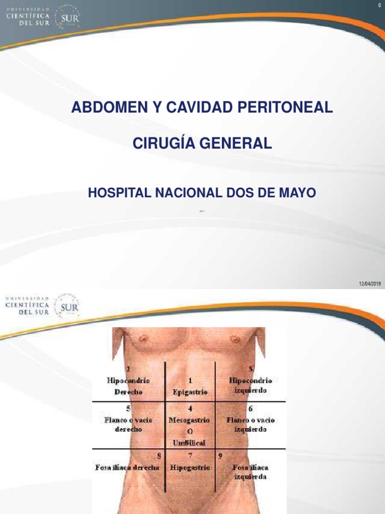 Abdomen y Cavidad Peritoneal 1 | PDF | Peritoneo | Abdomen