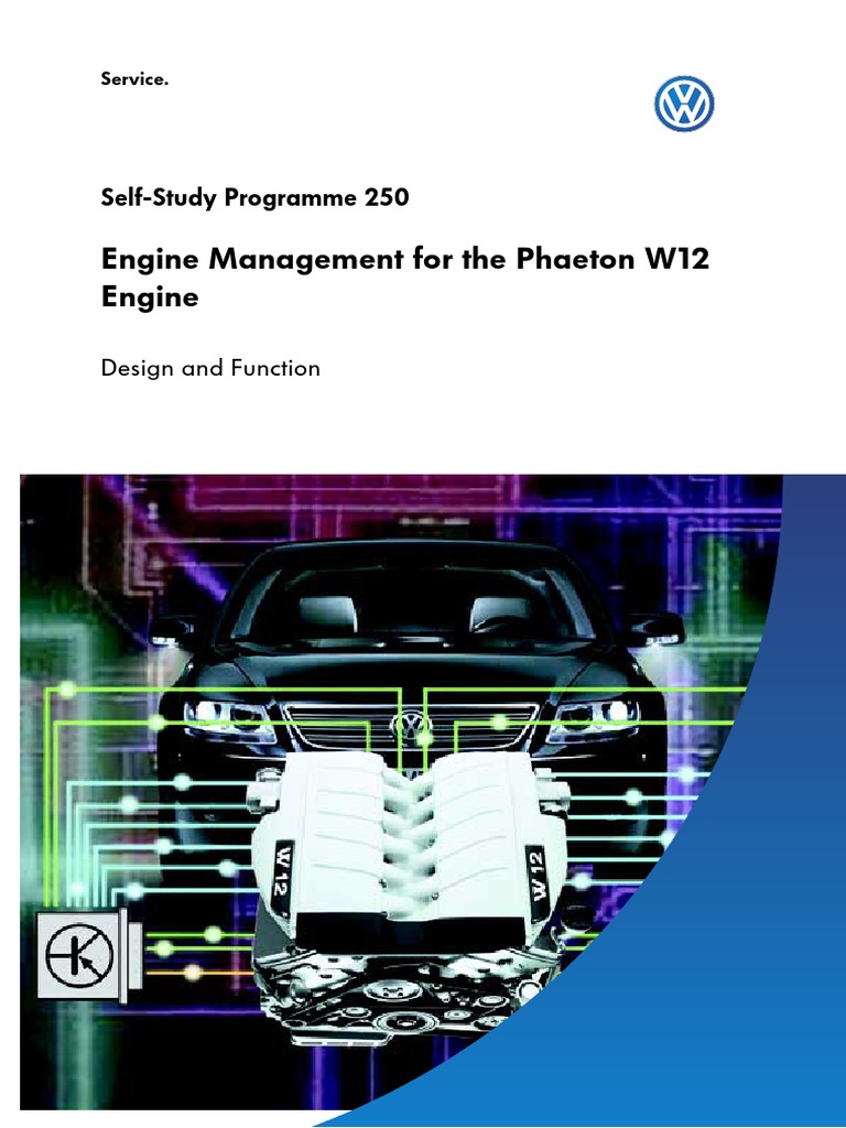 SSP - 250 W12 Engine Managment | PDF | Fuel Injection | Throttle