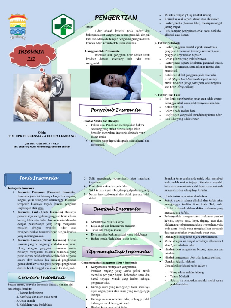 Leaflet Insomnia PKM 4 Ulu | PDF