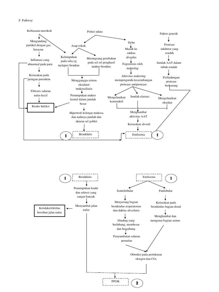 Pathway Patofisiologi PPOK dan Emfisema | PDF