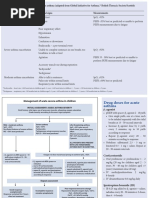 Seattle Children's Asthma Management Pathway | PDF | Respiratory ...