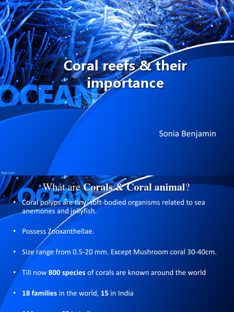Understanding Coral Reef Ecology: Classification, Structure ...