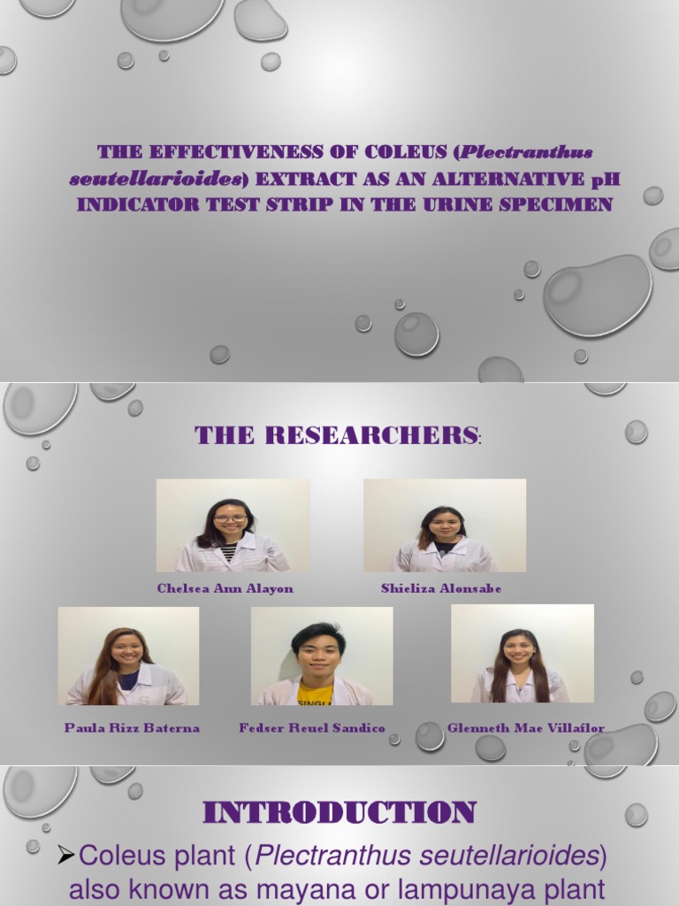 Research Presentation1 | PDF | Ph | Biology