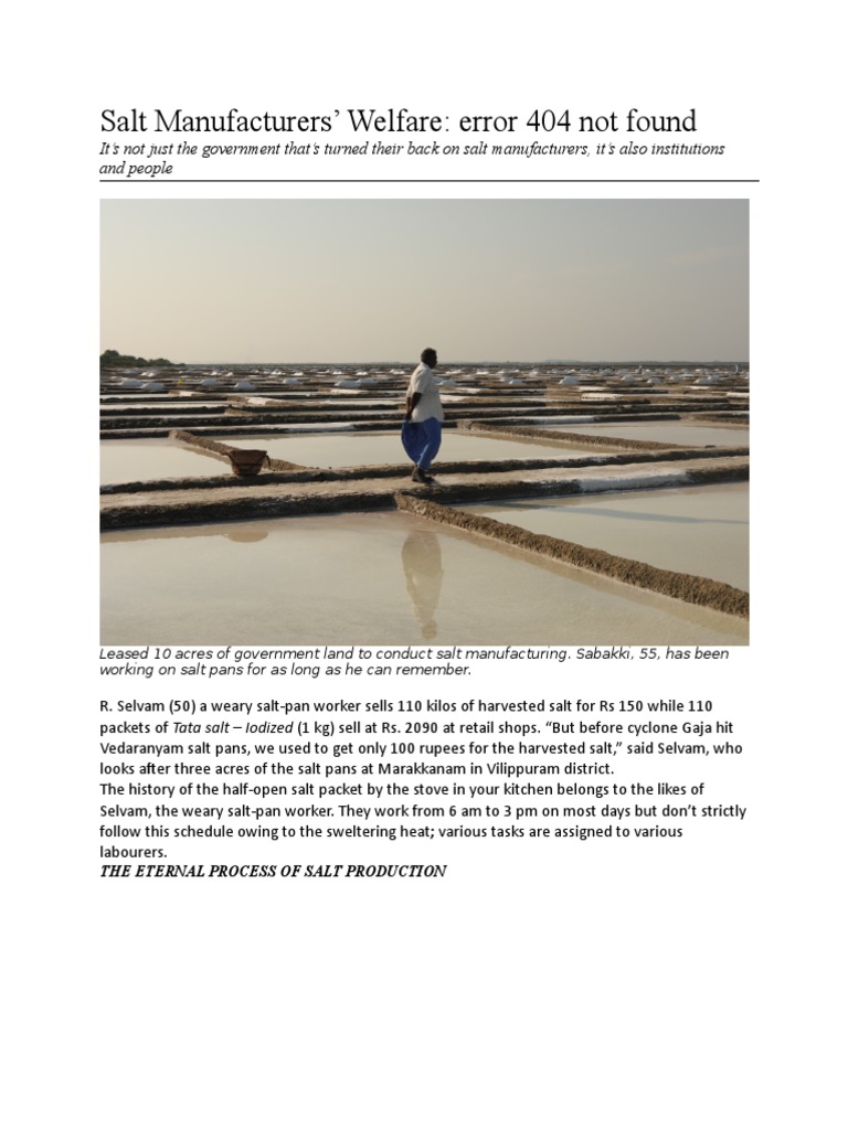 Marakkanam Salt Pans - Investigative Report | PDF | Salt