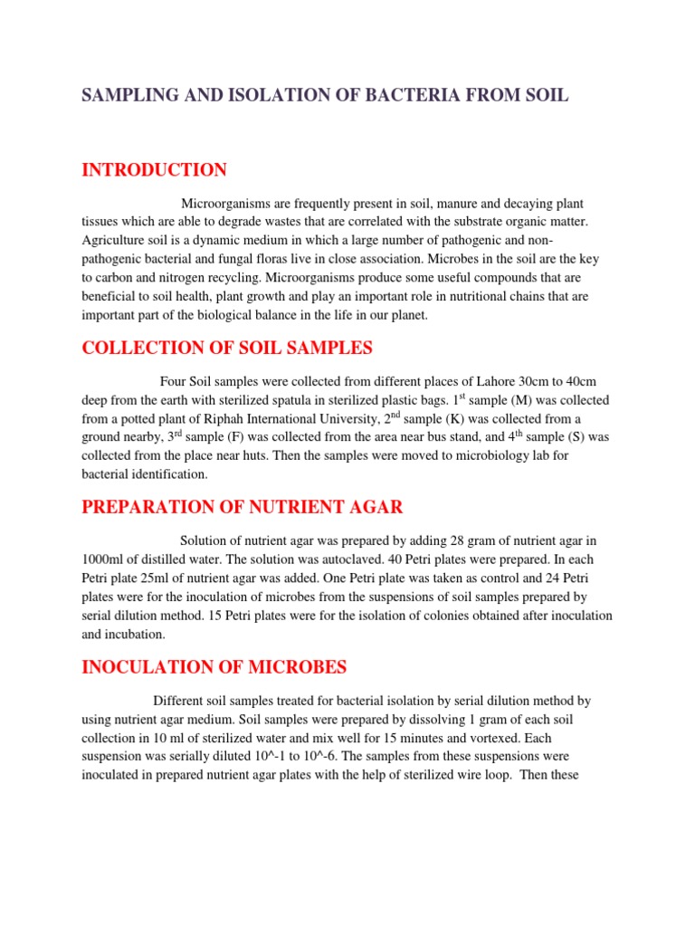 Sampling and Isolation of Bacteria From Soil | PDF | Bacteria ...