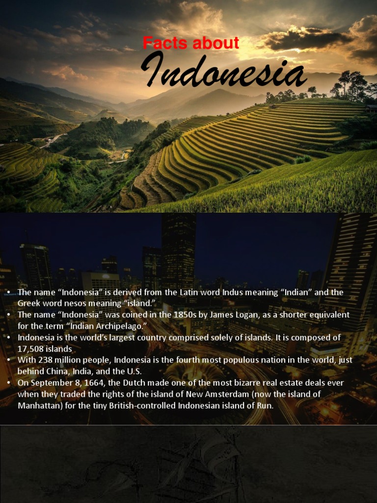 Indonesia: Facts About | PDF | Indonesia | Rhinoceros