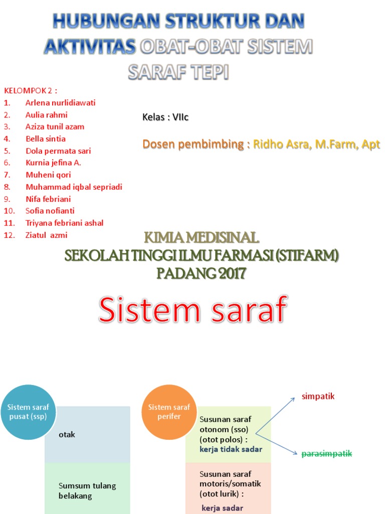 Hubungan Struktur Dan Aktivitas Obat-Obat Sistem - Saraf Tepi | PDF | Sains & Matematika