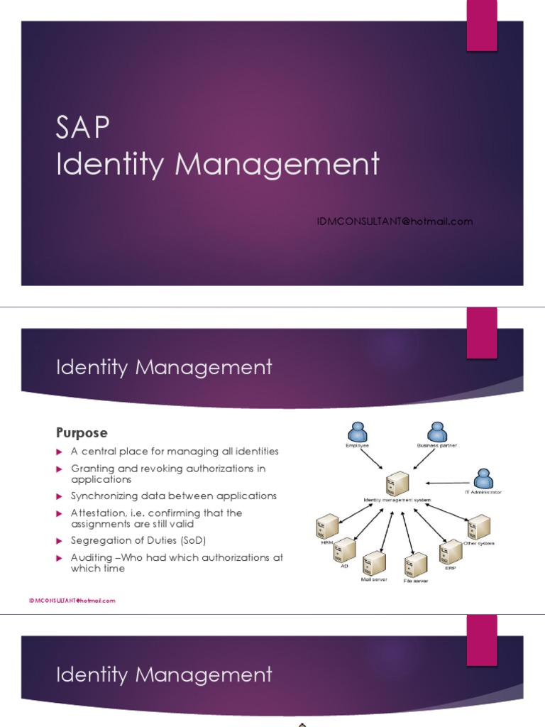 SAP Identity Management Guide | PDF | Access Control | Password