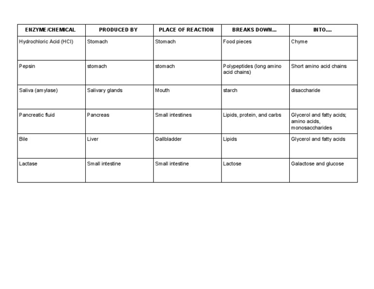 Enzyme Summary Chart | PDF