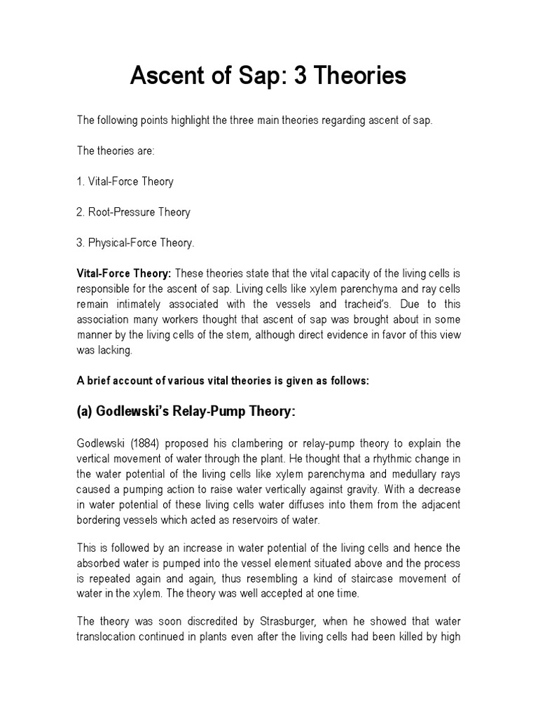 Ascent of Sap: 3 Theories: (A) Godlewski S Relay-Pump Theory | PDF ...