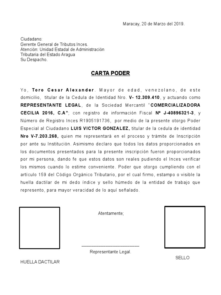 Carta Poder INCE | PDF | Información del gobierno | Gobierno