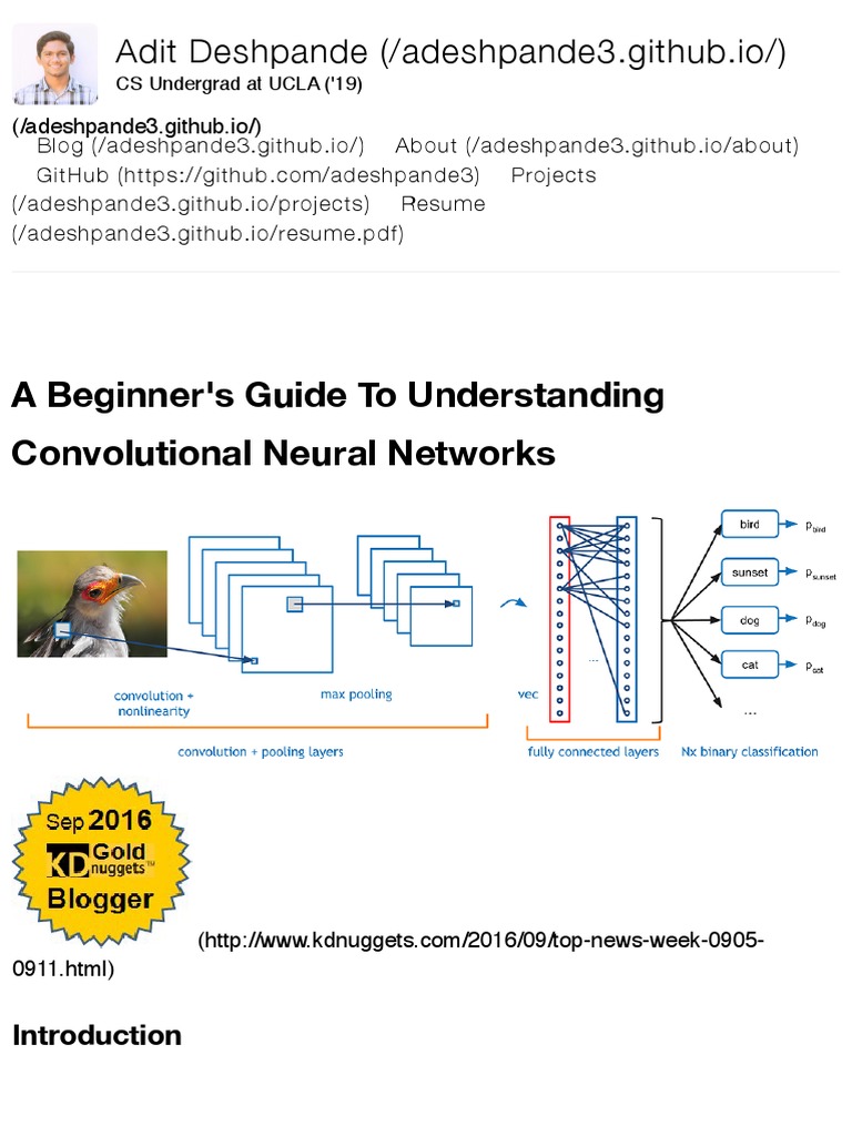 A Beginner's Guide To Understanding Convolutional Neural Networks Part 1 - Adit Deshpande - CS ...