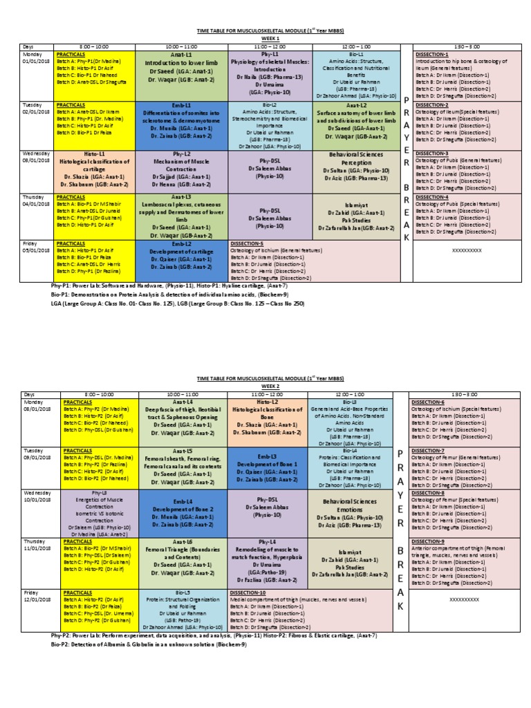 2-Musculoskeletal Module TT | PDF | Musculoskeletal System | Human Anatomy