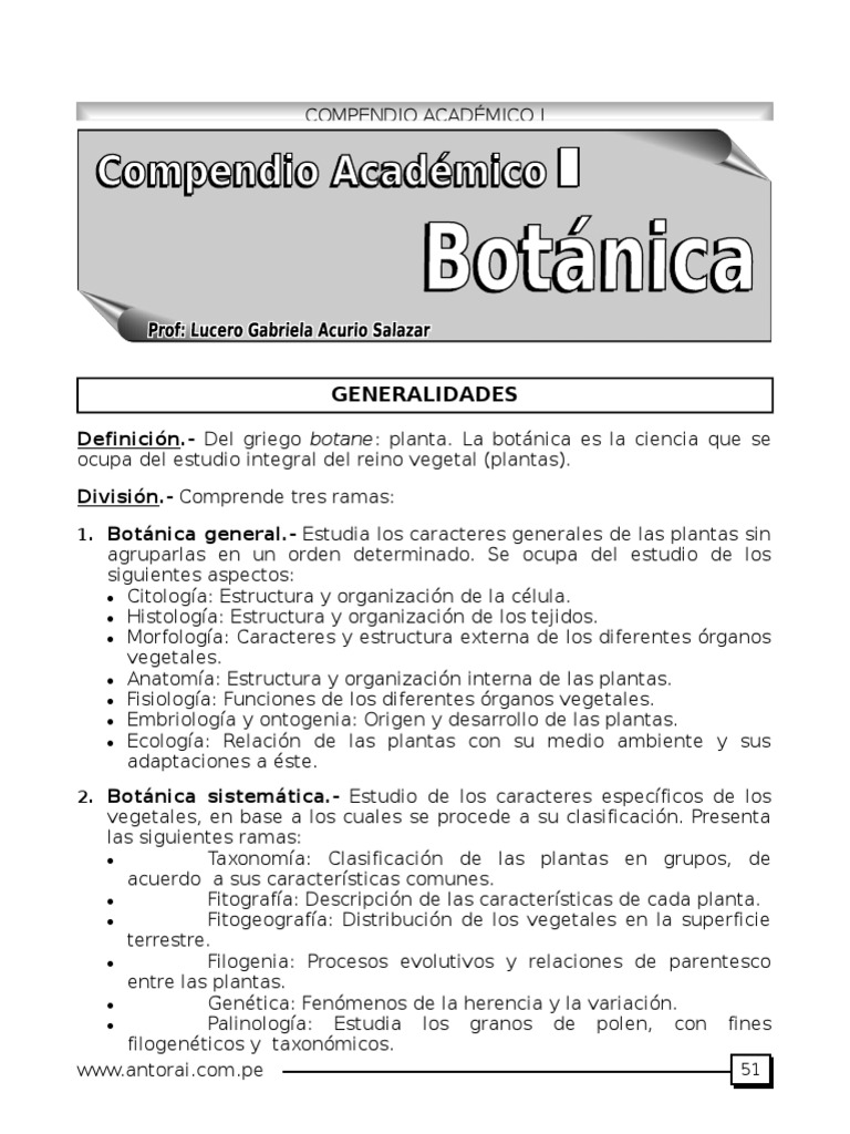 Drusa Botánica y Estructura Celular | PDF | Botánica | Hoja