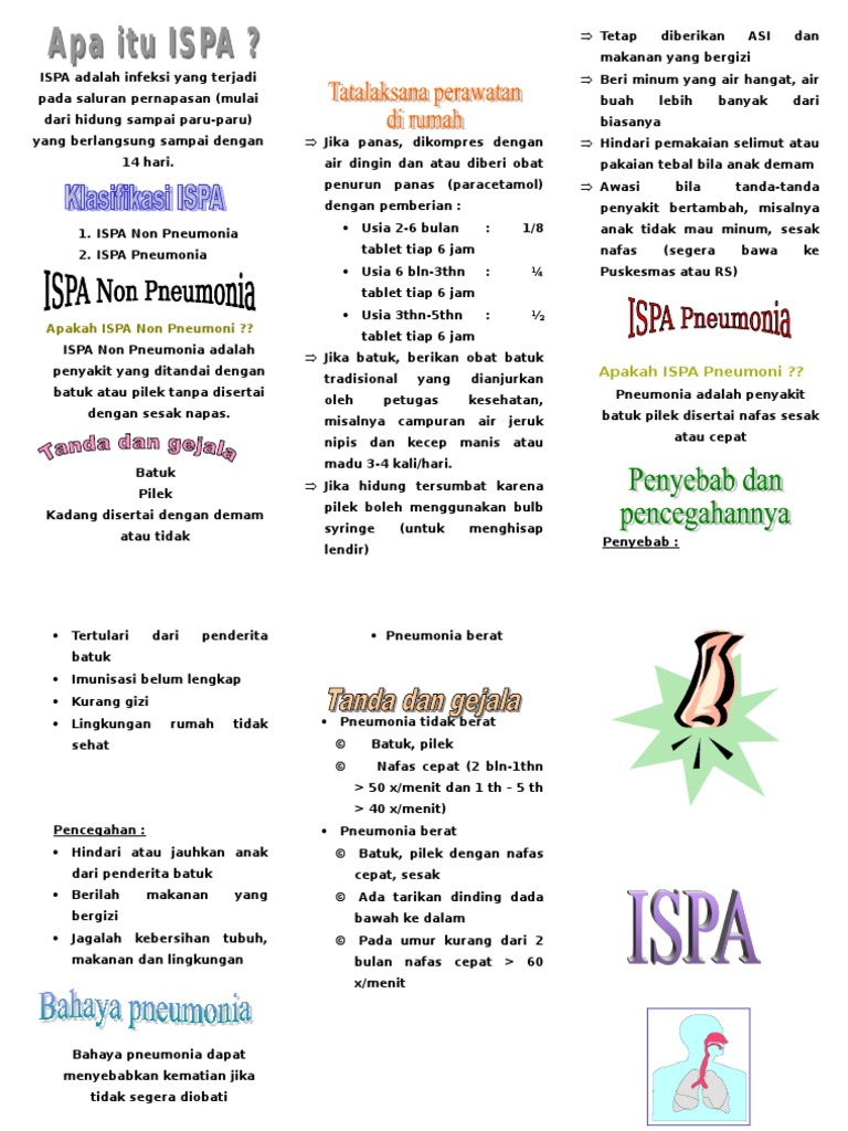 Leaflet Ispa 3 | PDF