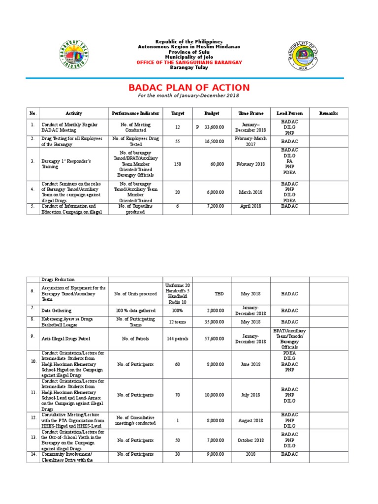 Badac Plan of Action | PDF
