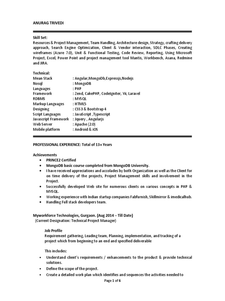 Technical Architect - Resume Template | PDF | Ajax (Programming) | Java Script