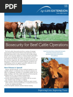 Calf Rearing Guide | PDF | Milk | Ruminant