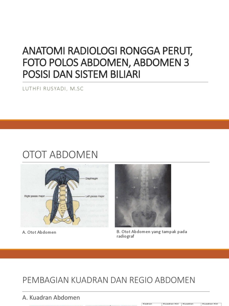 Anatomi Radiologi Rongga Perut, Foto Polos Abdomen | PDF