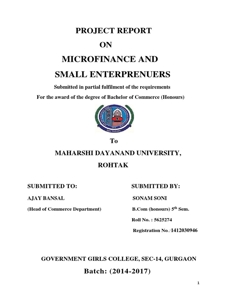 Microfinance and Small Enterprenuers: Project Report ON | PDF ...