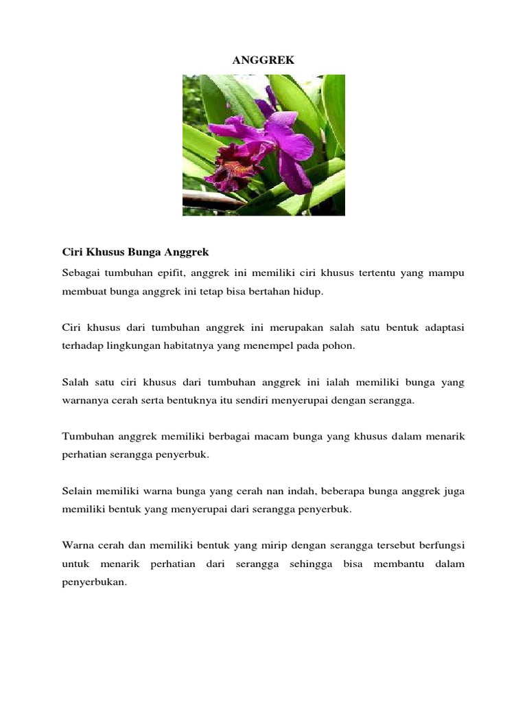 Ciri Khusus Pada Tumbuhan | PDF