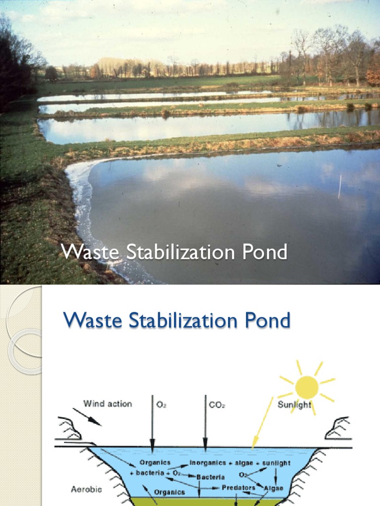 Waste Stabilization Pond Overview | PDF | Sewage Treatment ...