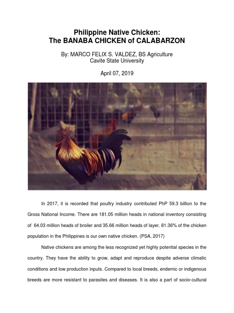 Banaba Chicken Phenotypic and Biochemical Profile | PDF | White Blood ...