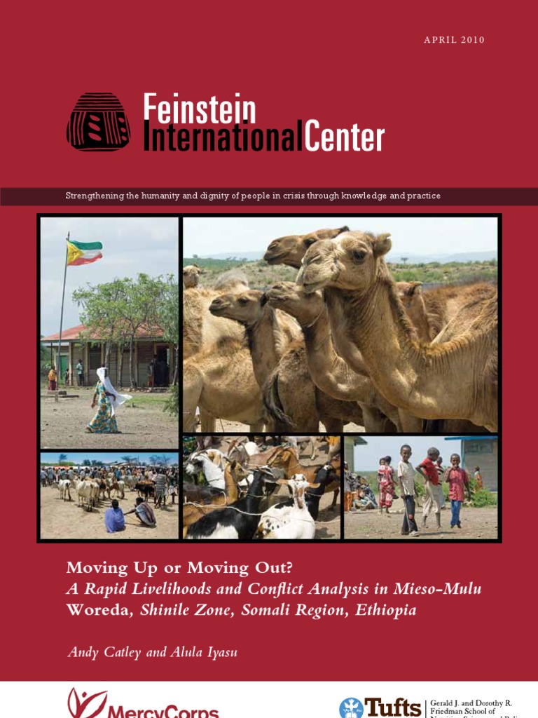 Moving Up or Moving Out? A Rapid Livelihoods and Conflict Analysis in ...