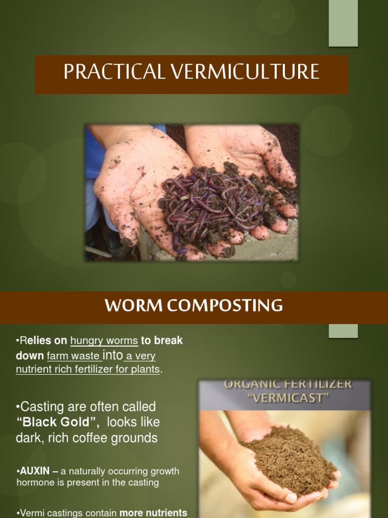 Step-by-Step Vermiculture Guide | PDF | Compost | Agriculture