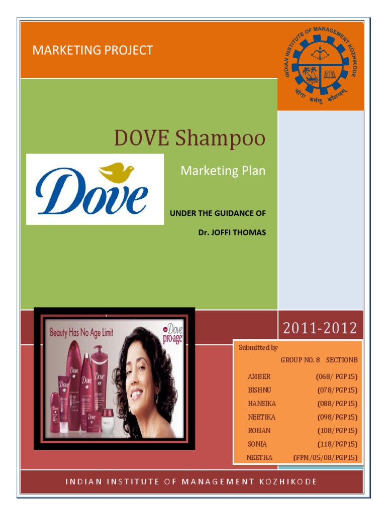 Dove PDF | PDF | Market Segmentation | Marketing