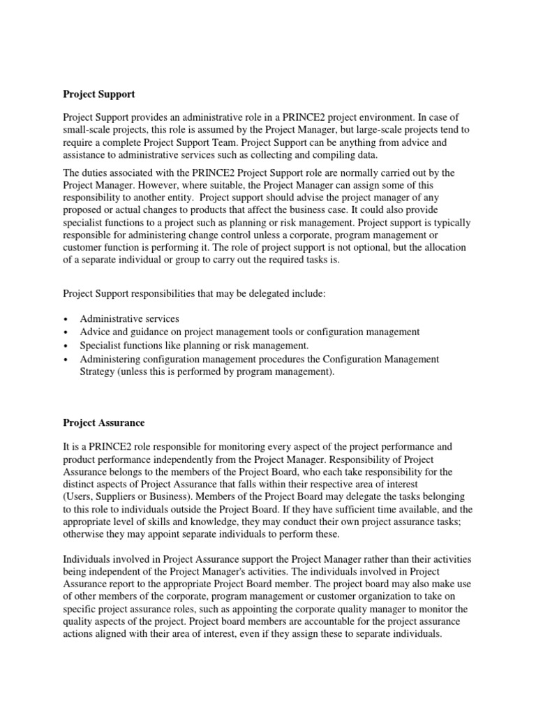 Assign 1 | PDF | Project Manager | System