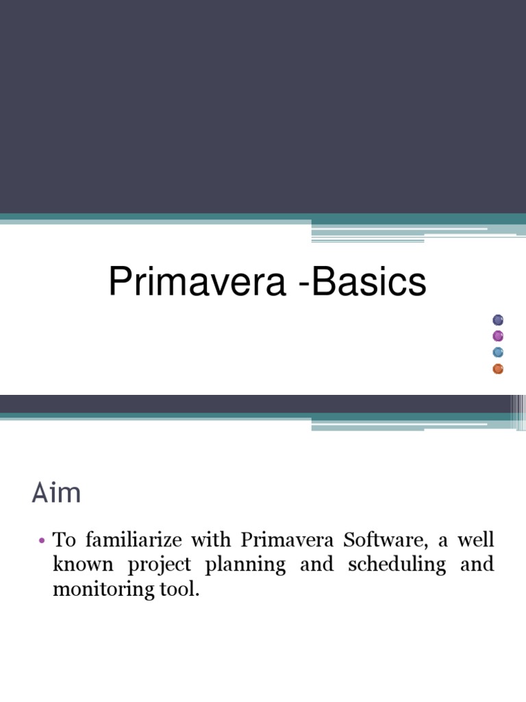 Primavera - Basics | PDF | Systems Theory | Systems Science