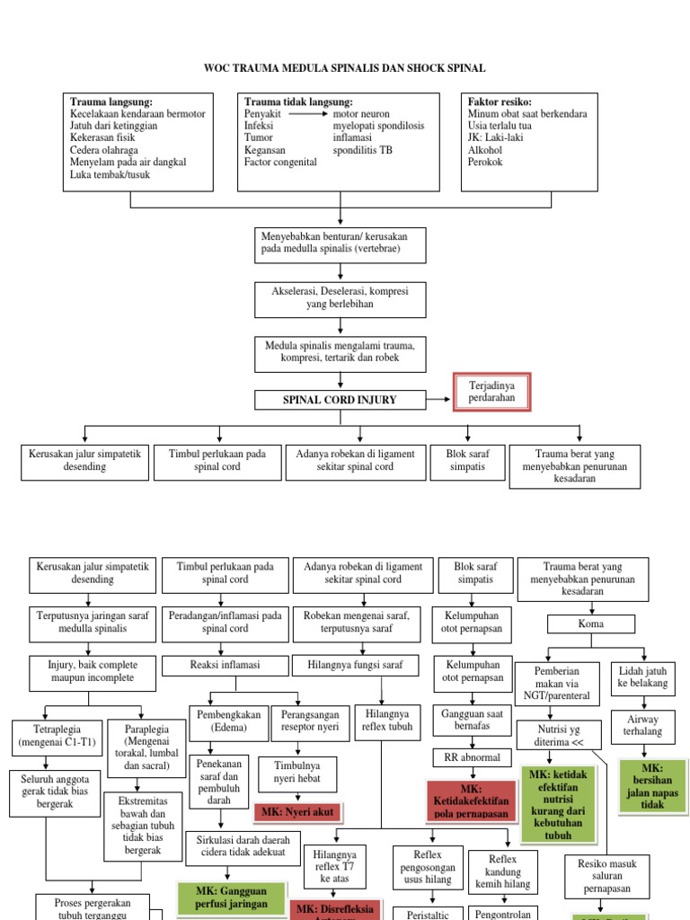 KLP 2 - WOC Trauma Medula Spinalis Revisi | PDF