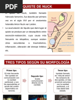 Niveles Axilares de Berg | PDF | Finanzas y dinero