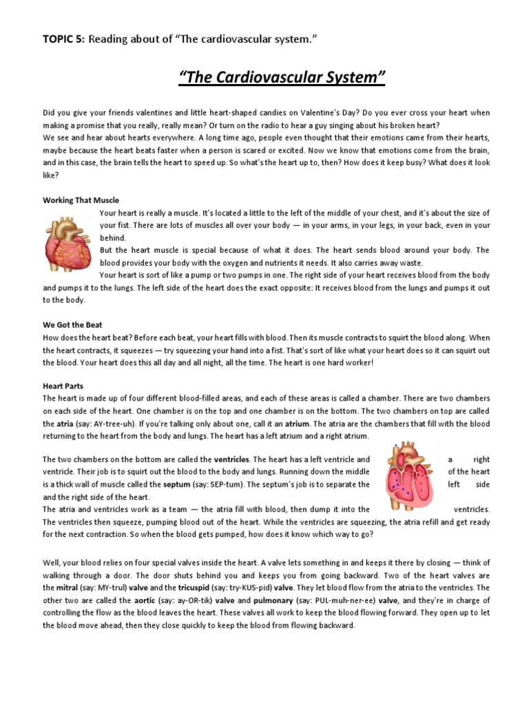 TOPIC 5: Reading About of "The Cardiovascular System." | PDF | Atrium ...