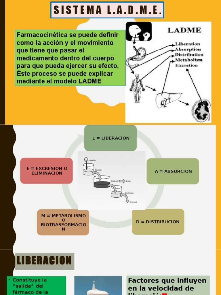 Sistema Ladme Expo. | PDF | Medicamentos con receta | Sangre