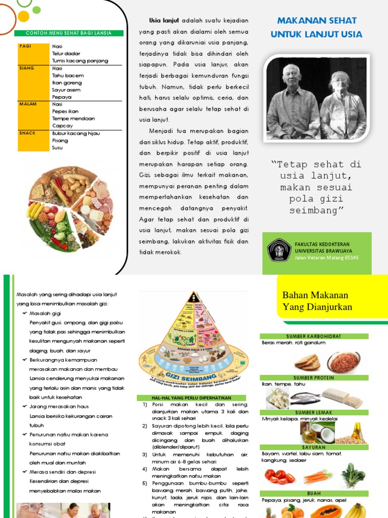 Gizi Seimbang Leaflet Pdf