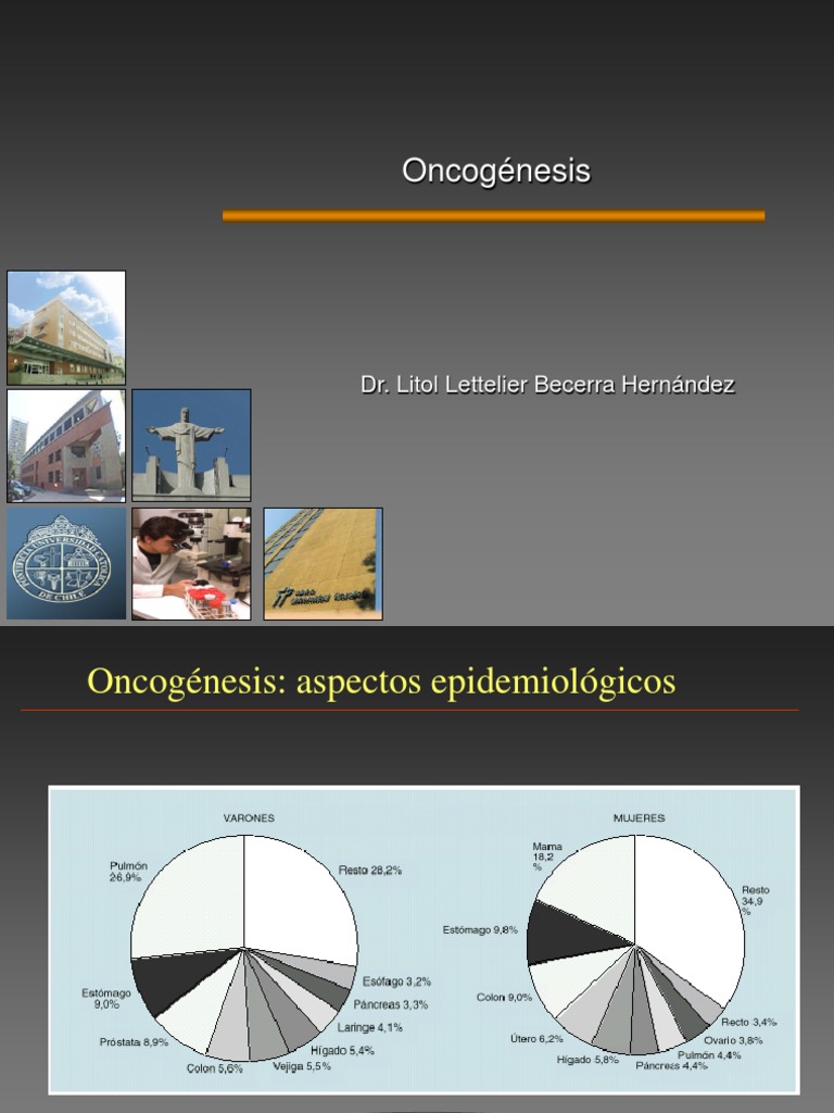 Aspectos Clave de la Oncogénesis | PDF | Carcinogénesis | Oncogen