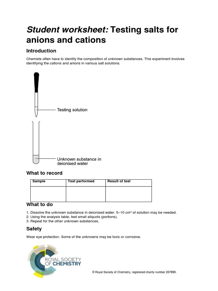 CCE14 - Testing Salts For Anions and Student Handout PDF | PDF ...