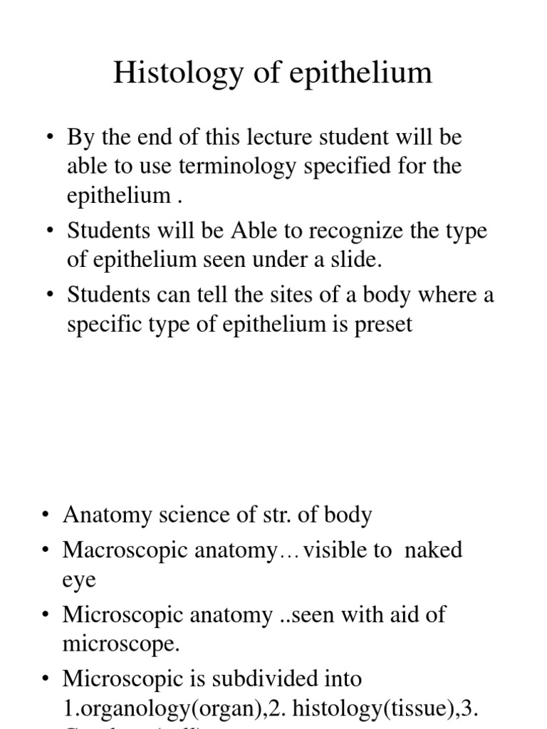 Histology Of Epithelium Pdf Epithelium Animal Physiology