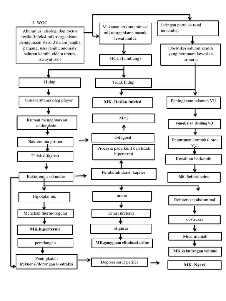Woc Isk Pdf