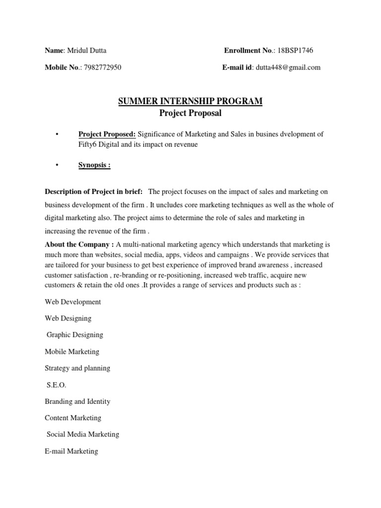 SIP Project Proposal | PDF | Digital Marketing | Marketing