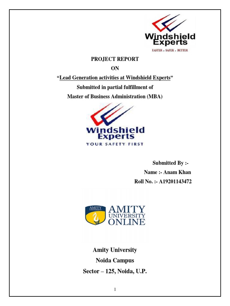 My Project Report - Windshield Expert 1234 | PDF | Insurance | Advertising