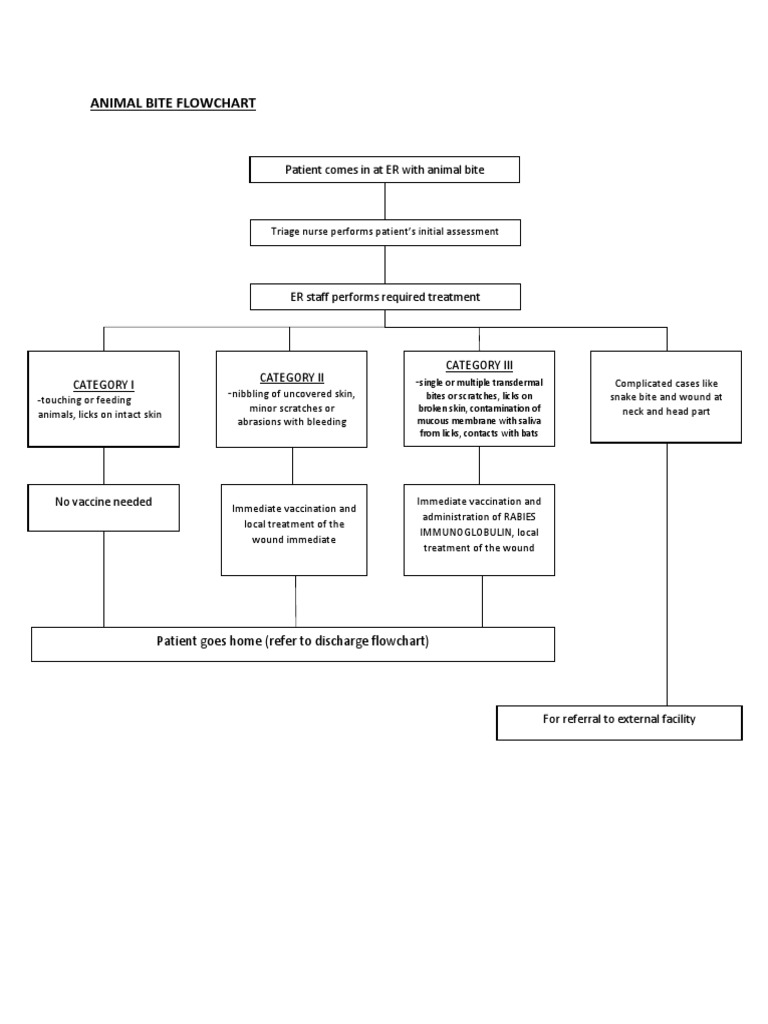 Animal Bite Treatment Flowchart | PDF
