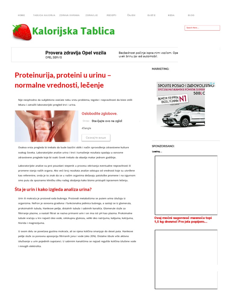 Proteinurija, Proteini U Urinu - Normalne Vrednosti, Lečenje | PDF